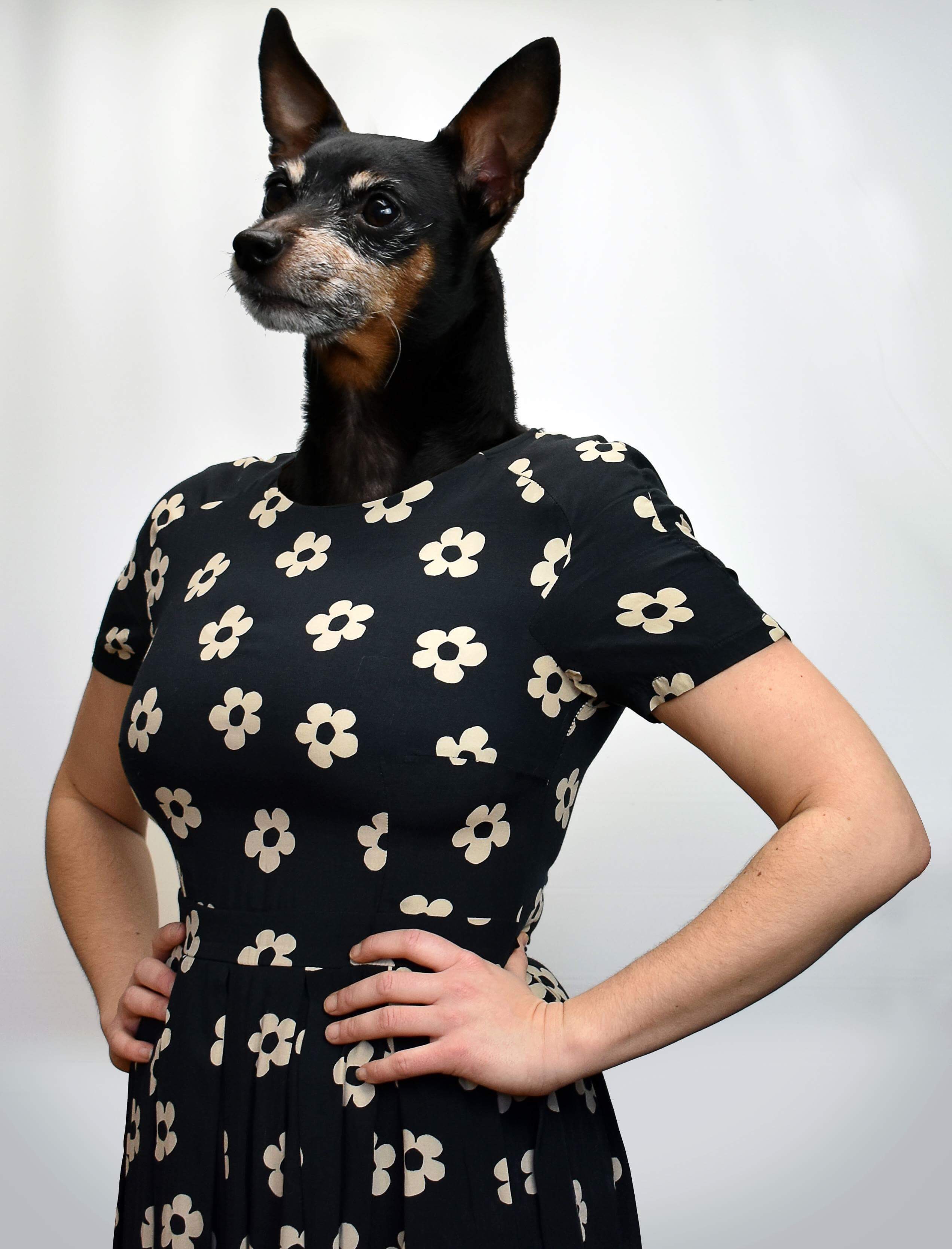 Comedy – Marina O'Shea